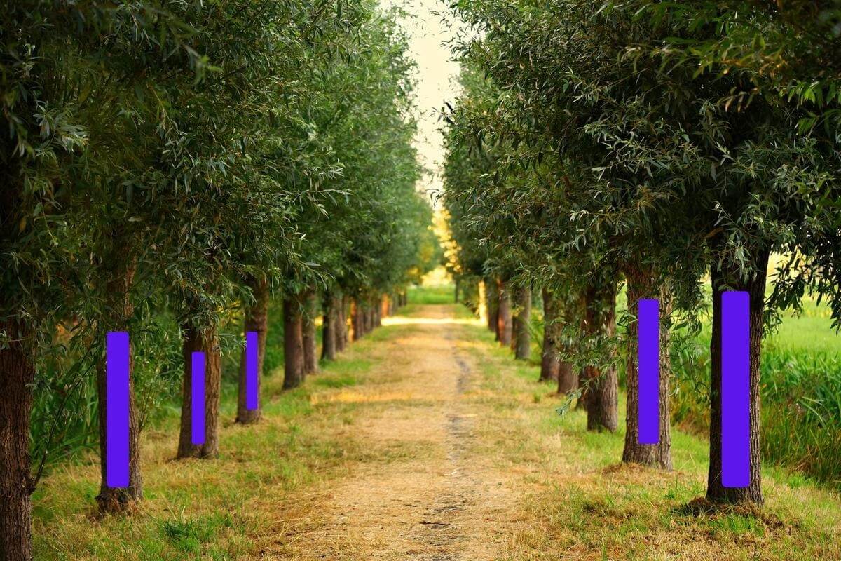 Purple Paint: The No Trespassing Sign You Might Not Know About ...