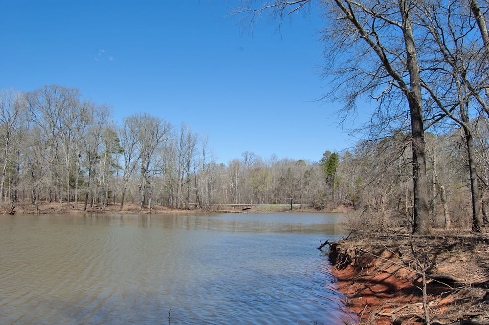 Discover Tilley Road Farm – 18.2 Acres of Pasture & Privacy - Carolina ...