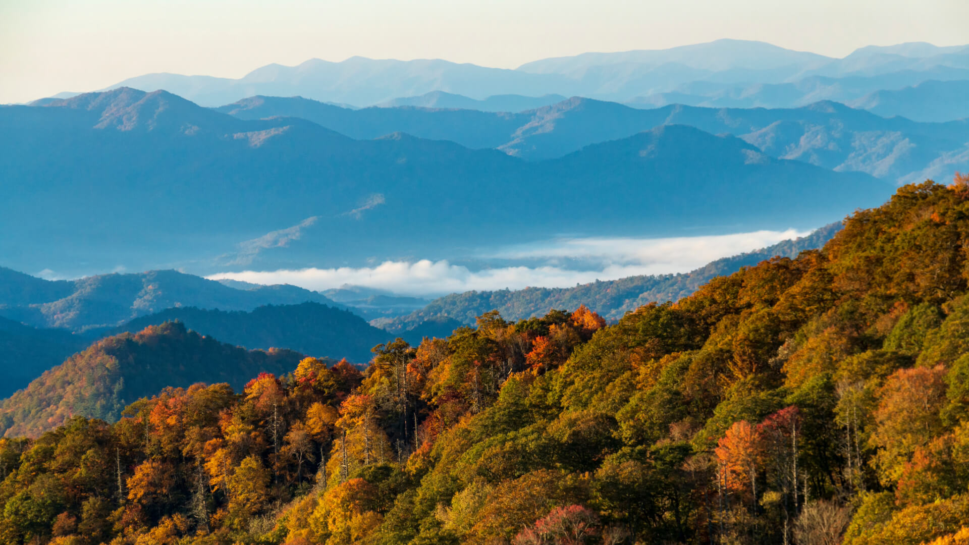 Why Preserving North Carolina’s Land Matters: The Importance of ...