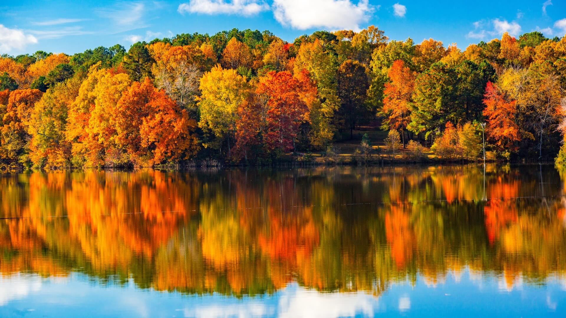 When to Expect Peak Fall Foliage in North Carolina This Year - Carolina ...